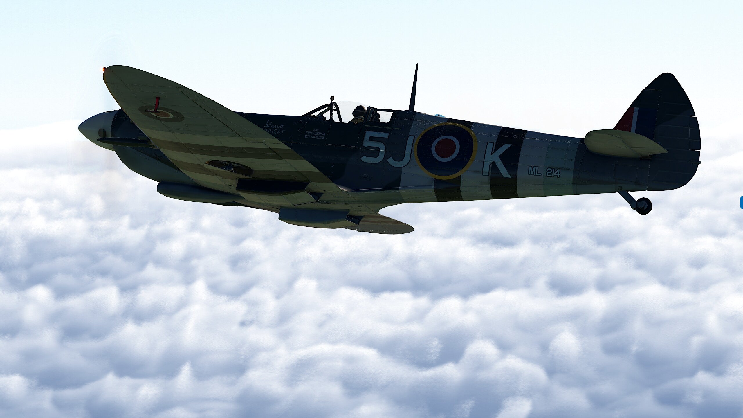 Spitfire Mk IXc Update 1.2 – FlyingIron Simulations